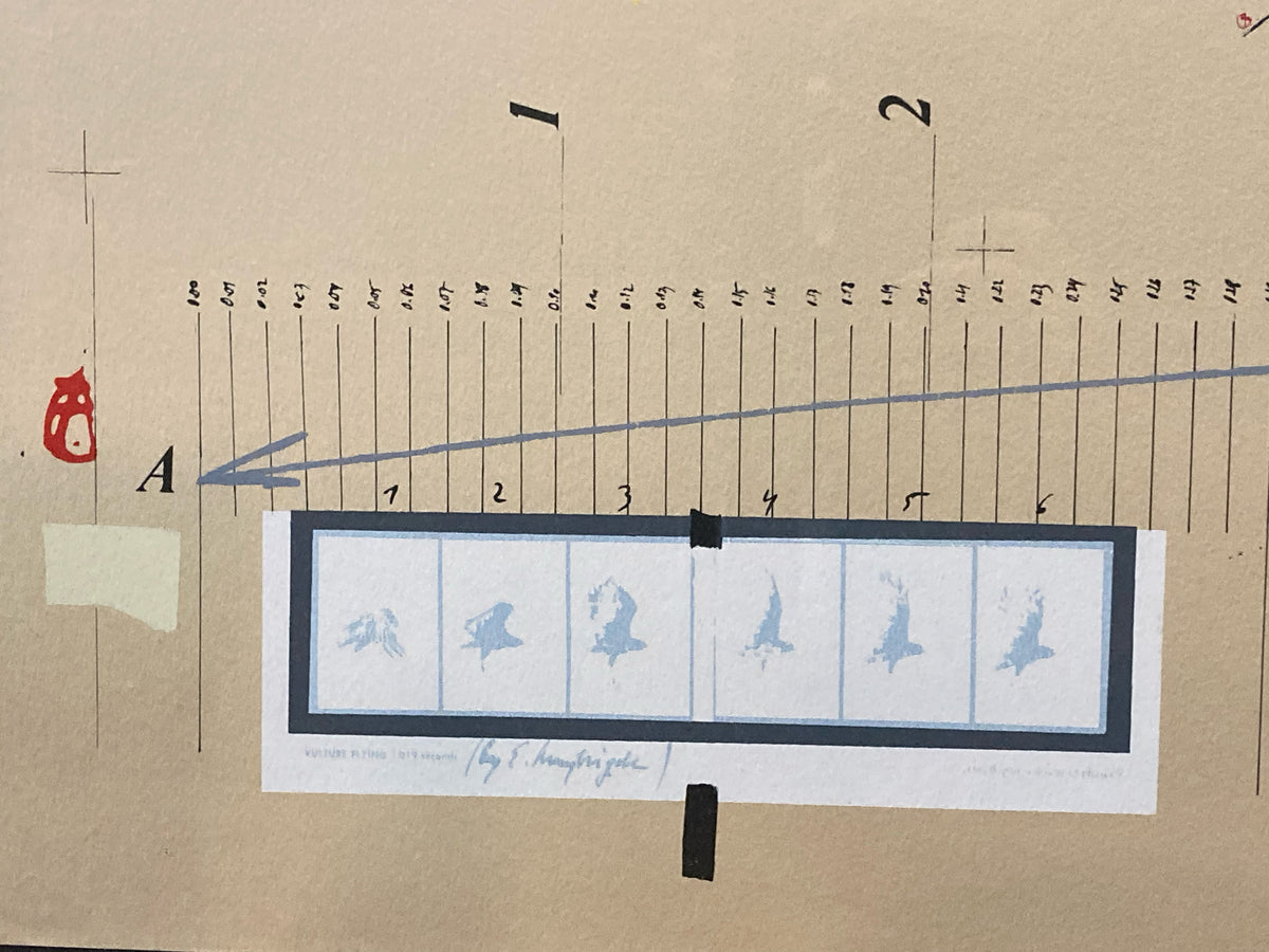 Rare Vladimir Velickovic Signed "Birds Fig. 2" Artist Proof – Dunn's Attic